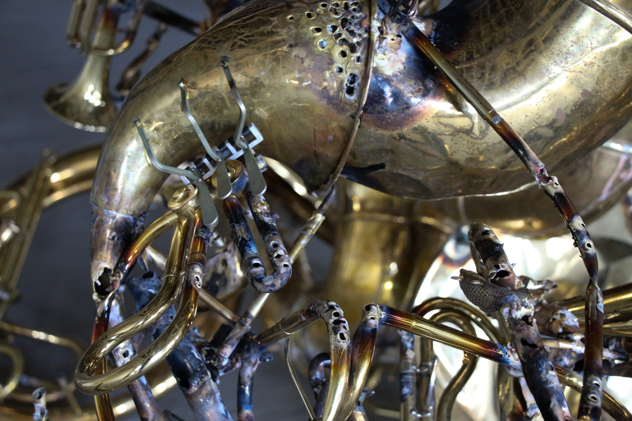 LEAF 2024 – Julia Edith Rigby w/Amy Biondo – LEAF